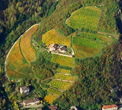 Welt - ArchiWINE 2012